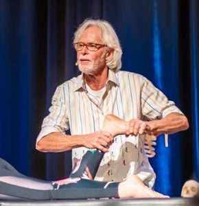 Erik Dalton's Myoskeletal Mobilization Massage: Master 80+ Techniques ...